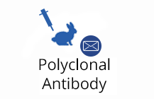 CONTACT - ProteoGenix