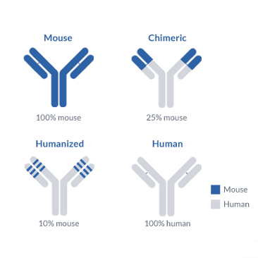 Why humanized antibody production may thrive in the 2020s