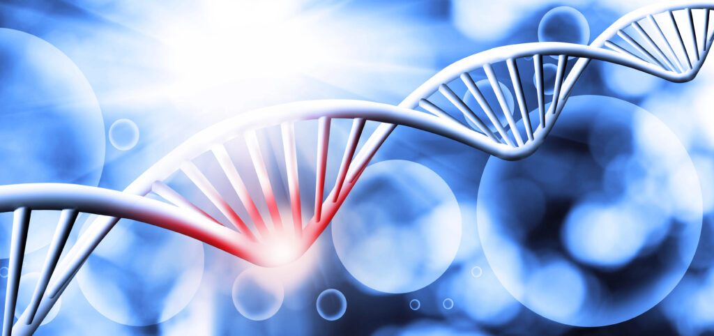 Gene Integration in Antibody Production: Overcoming Challenges for ...