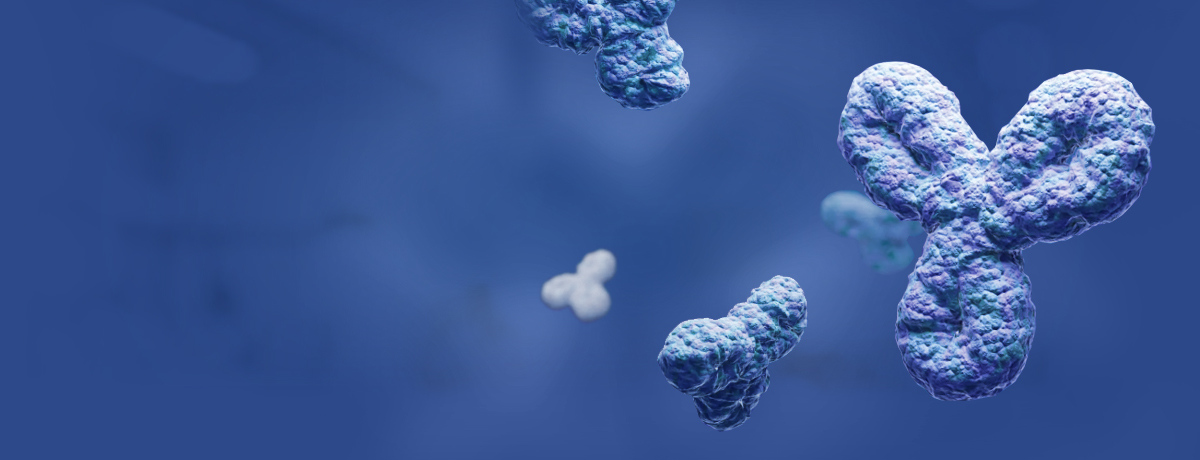 Accelerating Translational Research: How Phage Display Technology Delivered High-Affinity ...