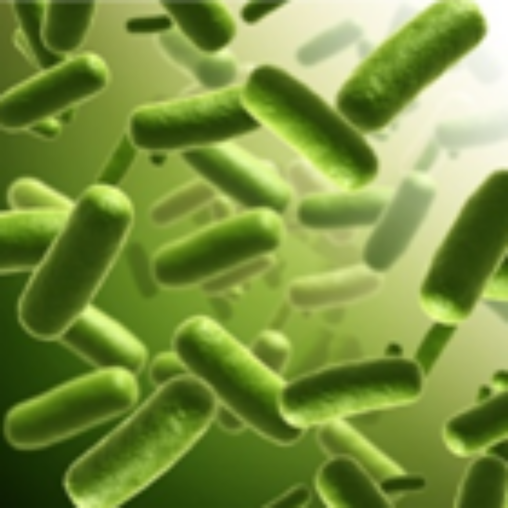Custom protein expression services - 5 expression systems - ProteoGenix
