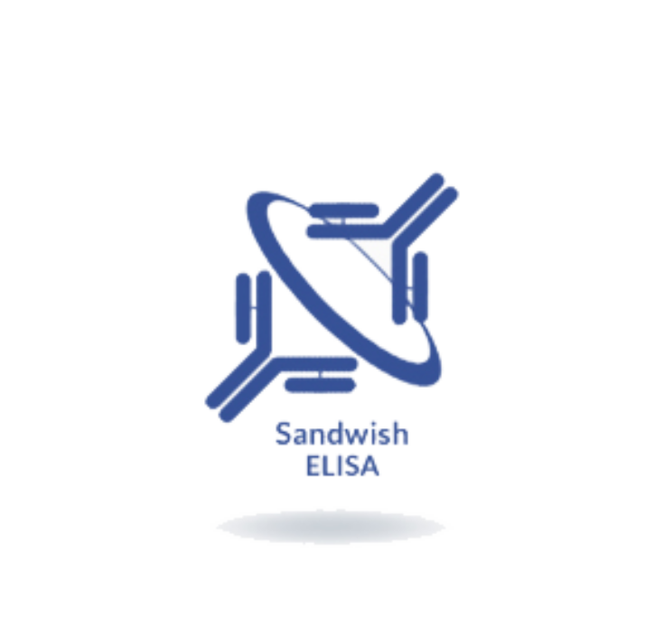ELISA assay development services - ProteoGenix