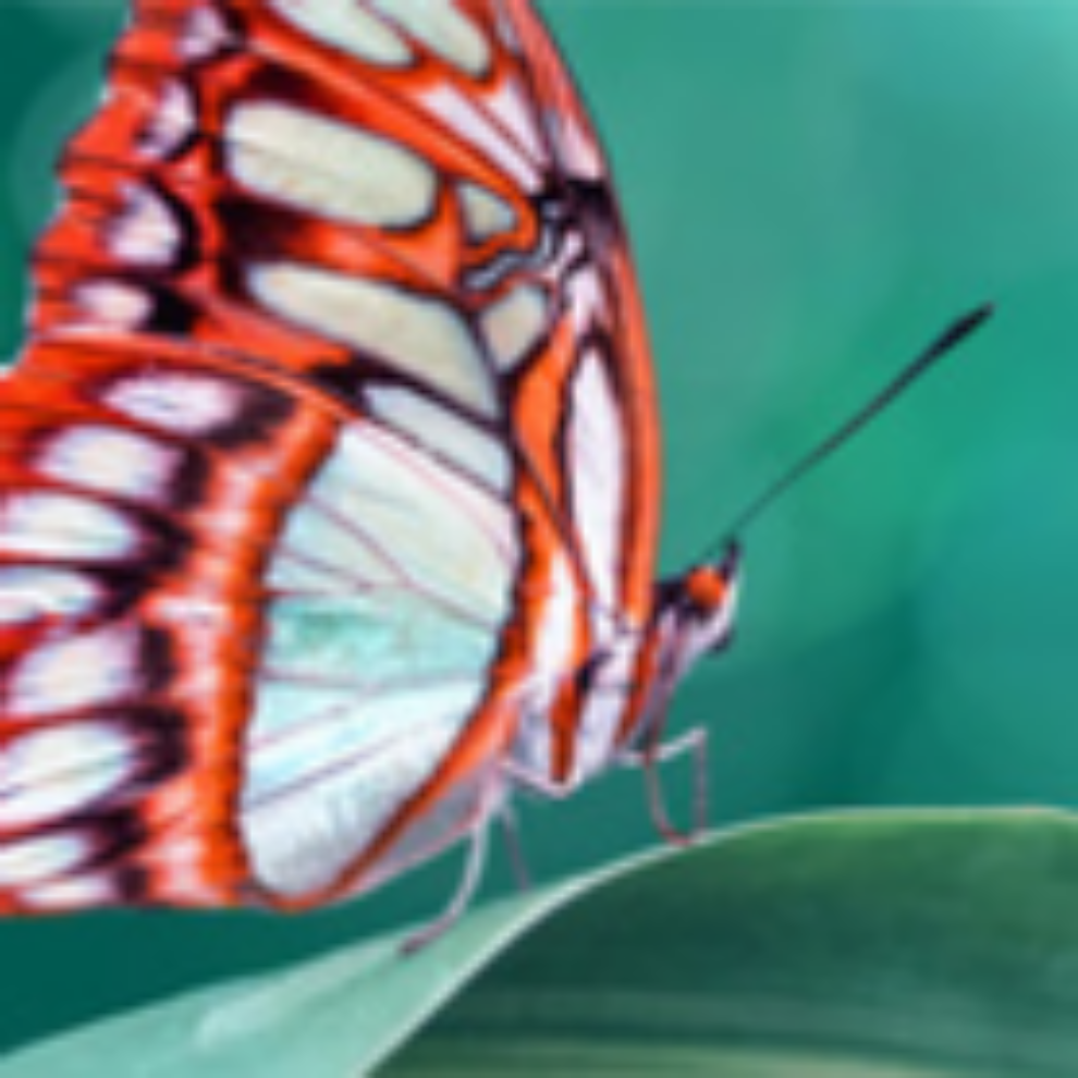 Custom protein expression services - 5 expression systems - ProteoGenix