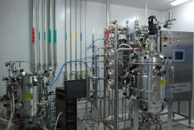 Custom protein expression services - 5 expression systems - ProteoGenix