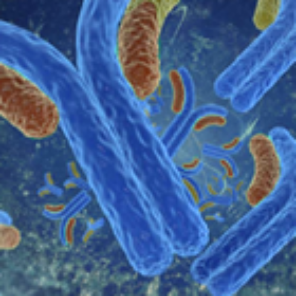 Custom protein expression services - 5 expression systems - ProteoGenix