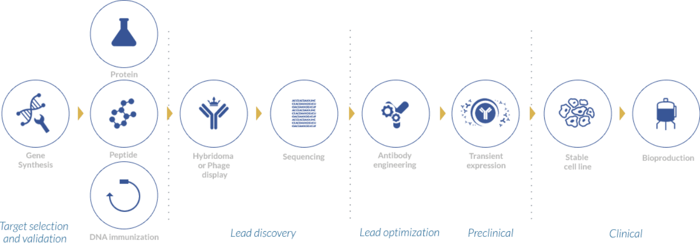 ProteoGenix – A leading antibody production company