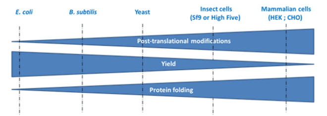 High throughput protein expression tests - ProteoGenix