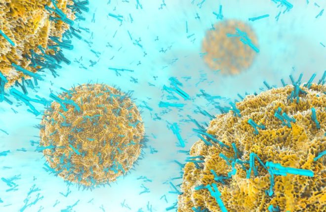 The best CHO expression system kits on the market - ProteoGenix