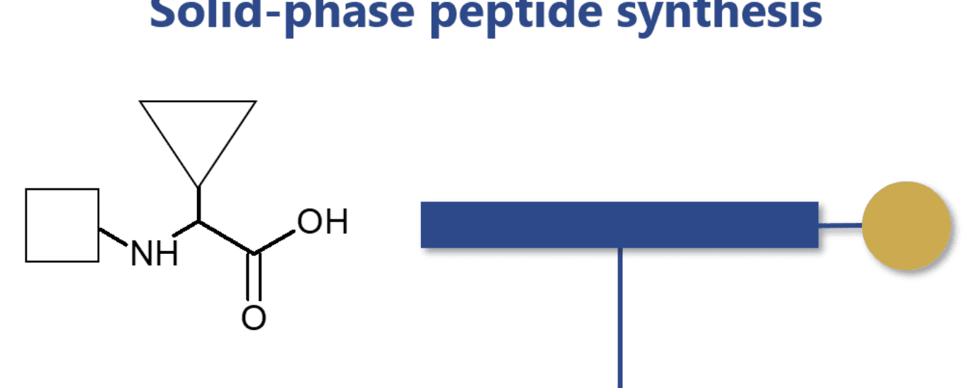 Solid-phase peptide synthesis and the discovery of therapeutic peptides