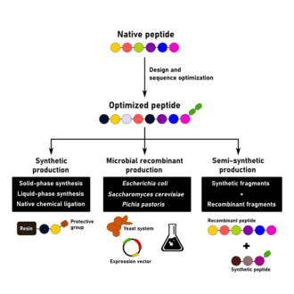 Challenges in chemical and recombinant peptide production processes