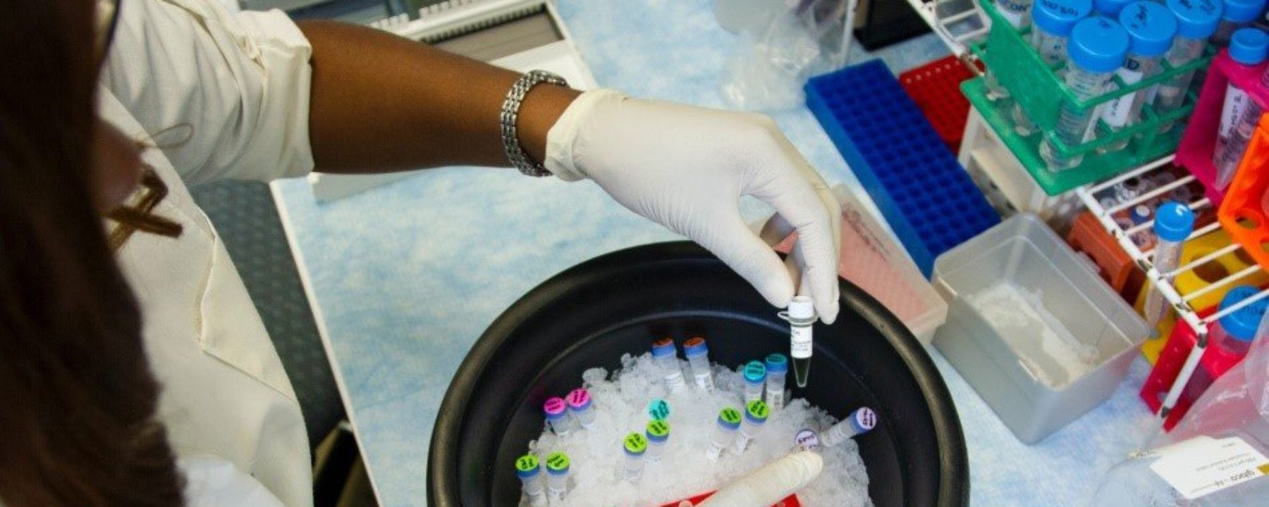 Hands-on tips on how to improve transient expression - ProteoGenix