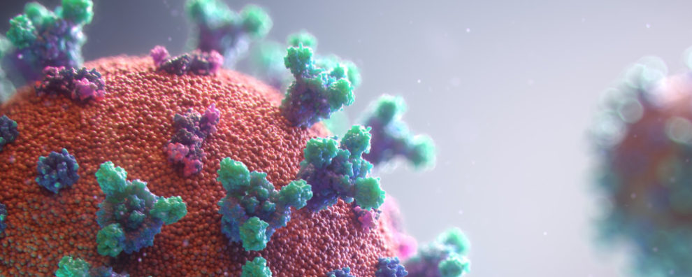 How humanized antibodies revolutionized drug development - ProteoGenix