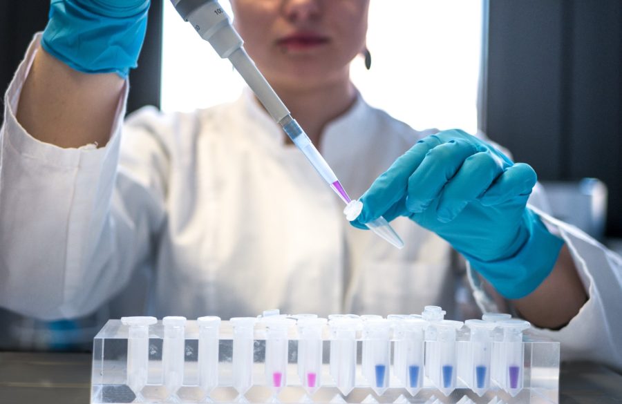 A guide to mammalian cell-based expression systems - ProteoGenix