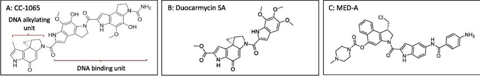 DNA-damaging agents and transcription inhibitors for ADCs - ProteoGenix