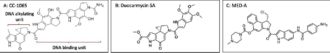 DNA-damaging agents and transcription inhibitors for ADCs - ProteoGenix