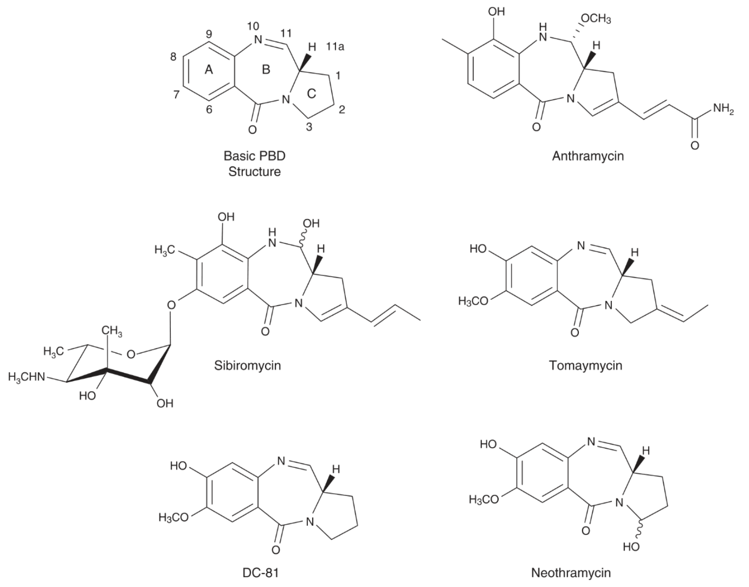 DNA-damaging agents and transcription inhibitors for ADCs - ProteoGenix