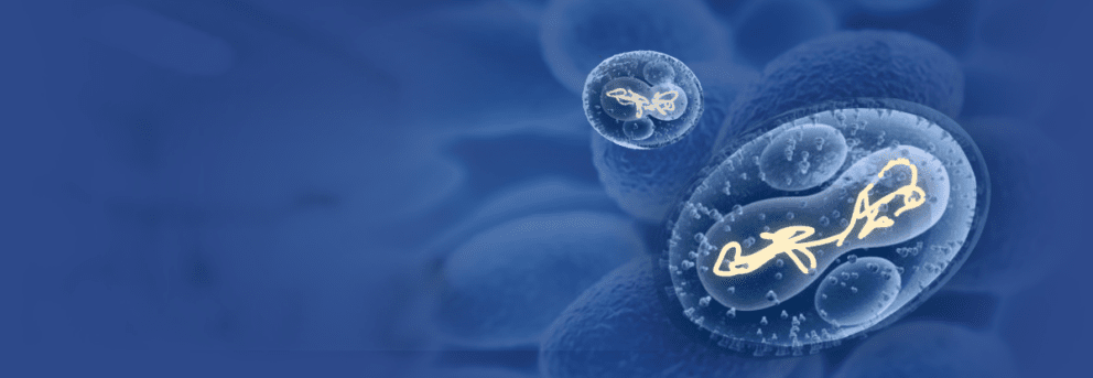 Bioreagents for Therapeutic Research - ProteoGenix