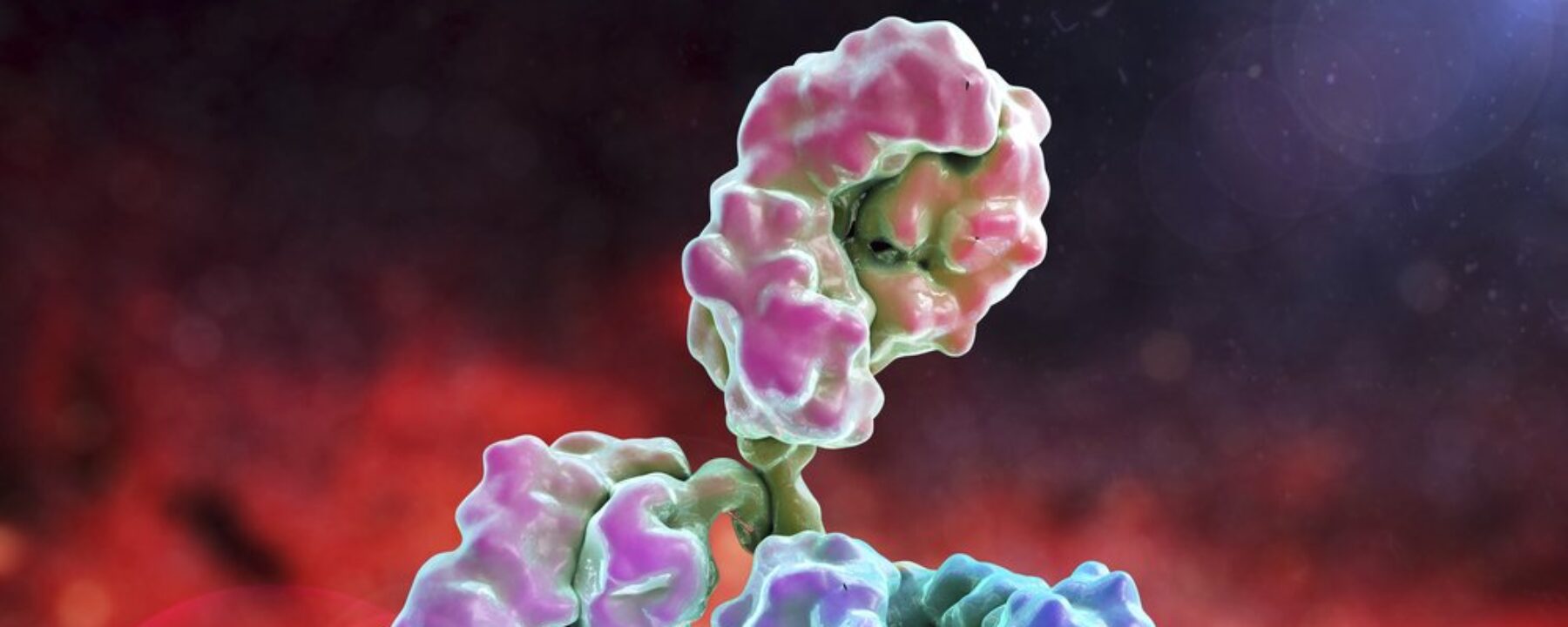 How to choose the best antibody generation technique? - ProteoGenix