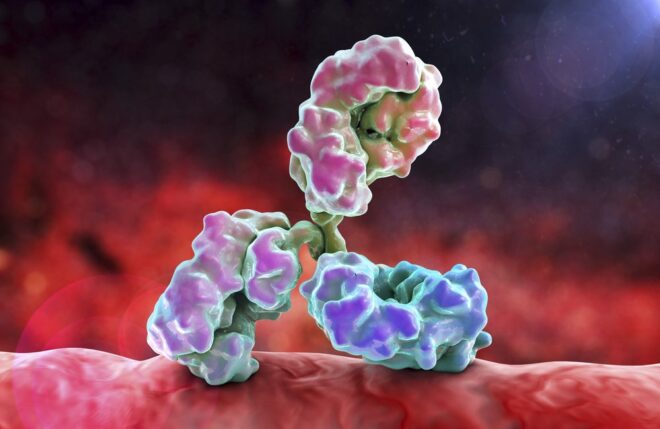 The best CHO expression system kits on the market - ProteoGenix