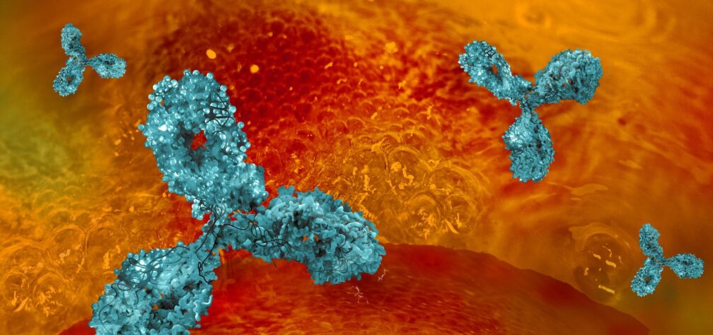 Nycodenz® (Cat# 1002424) Universal Density Gradient Medium