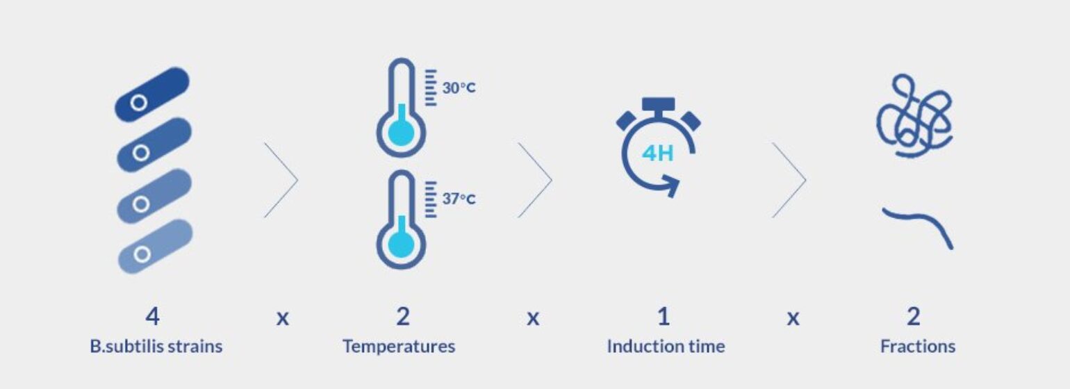 Bacillus subtilis protein expression service - ProteoGenix