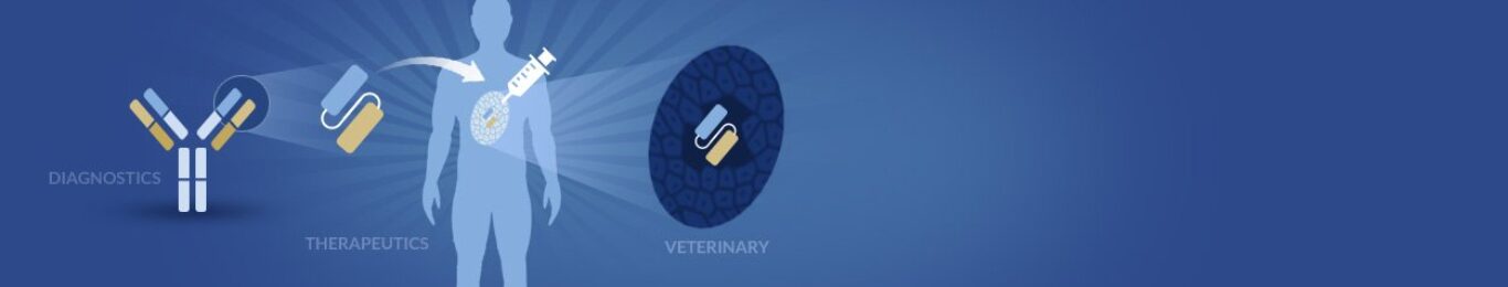 scFv phage display - ProteoGenix
