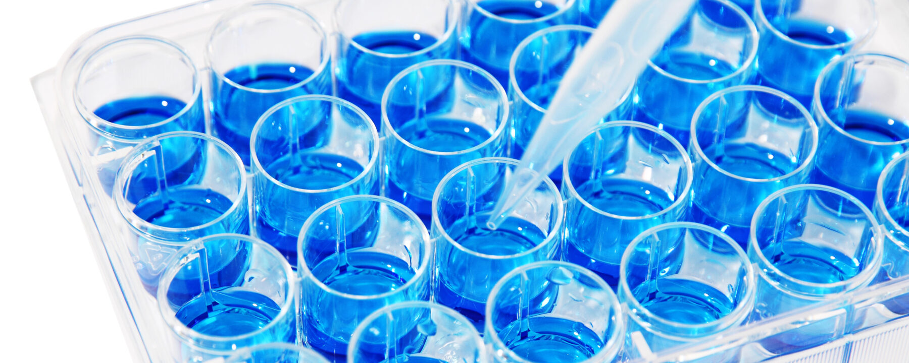 Mastering Cell Line Development: From Basics to Innovations - ProteoGenix