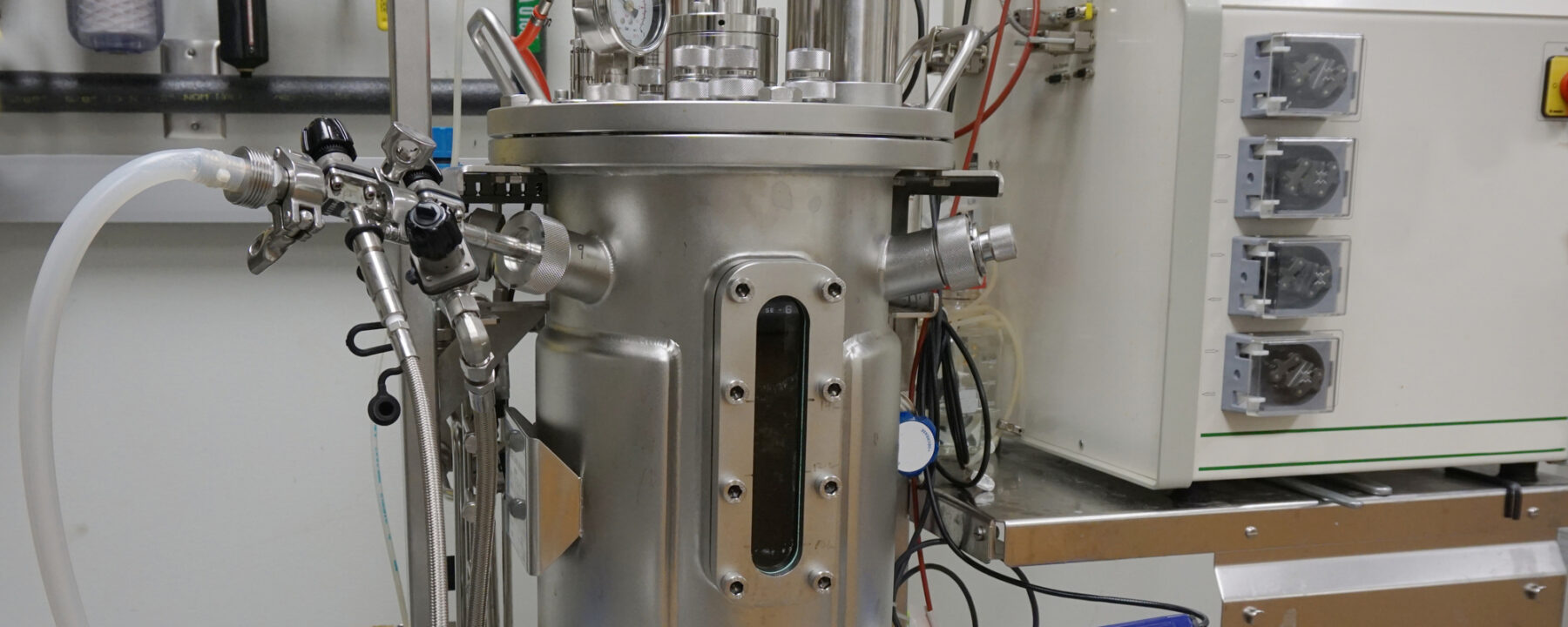 Antibody production: a complete guide - ProteoGenix