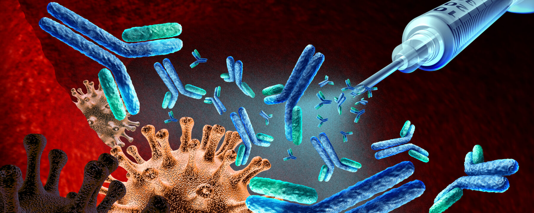 Single B Cell Sorting Fo Antibody Discovery Proteogenix