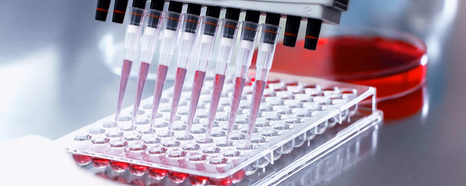 The best CHO expression system kits on the market - ProteoGenix