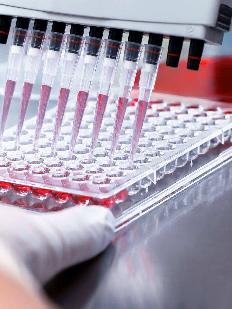 Recombinant antibody production services | ProteoGenix