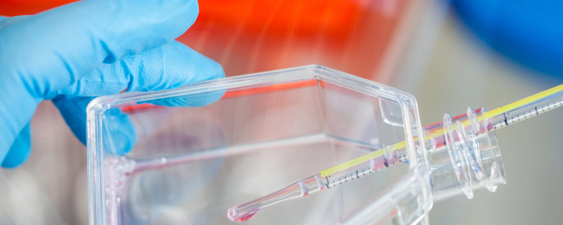 How to generate stable cell lines? - ProteoGenix