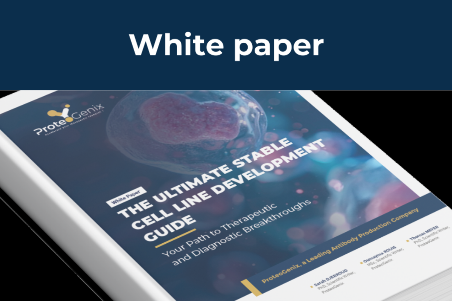 Custom cell line development services - ProteoGenix